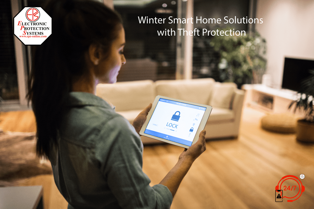 Smart Security Solutions | Electronic Protection Systems